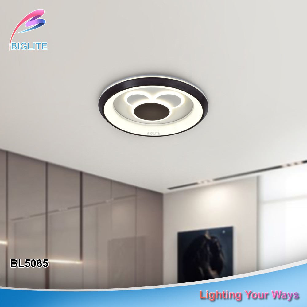 BIGLITE BL5065 LED LOW CEILING LAMPS TRI COLOR, DECORATIVE DESIGN ...