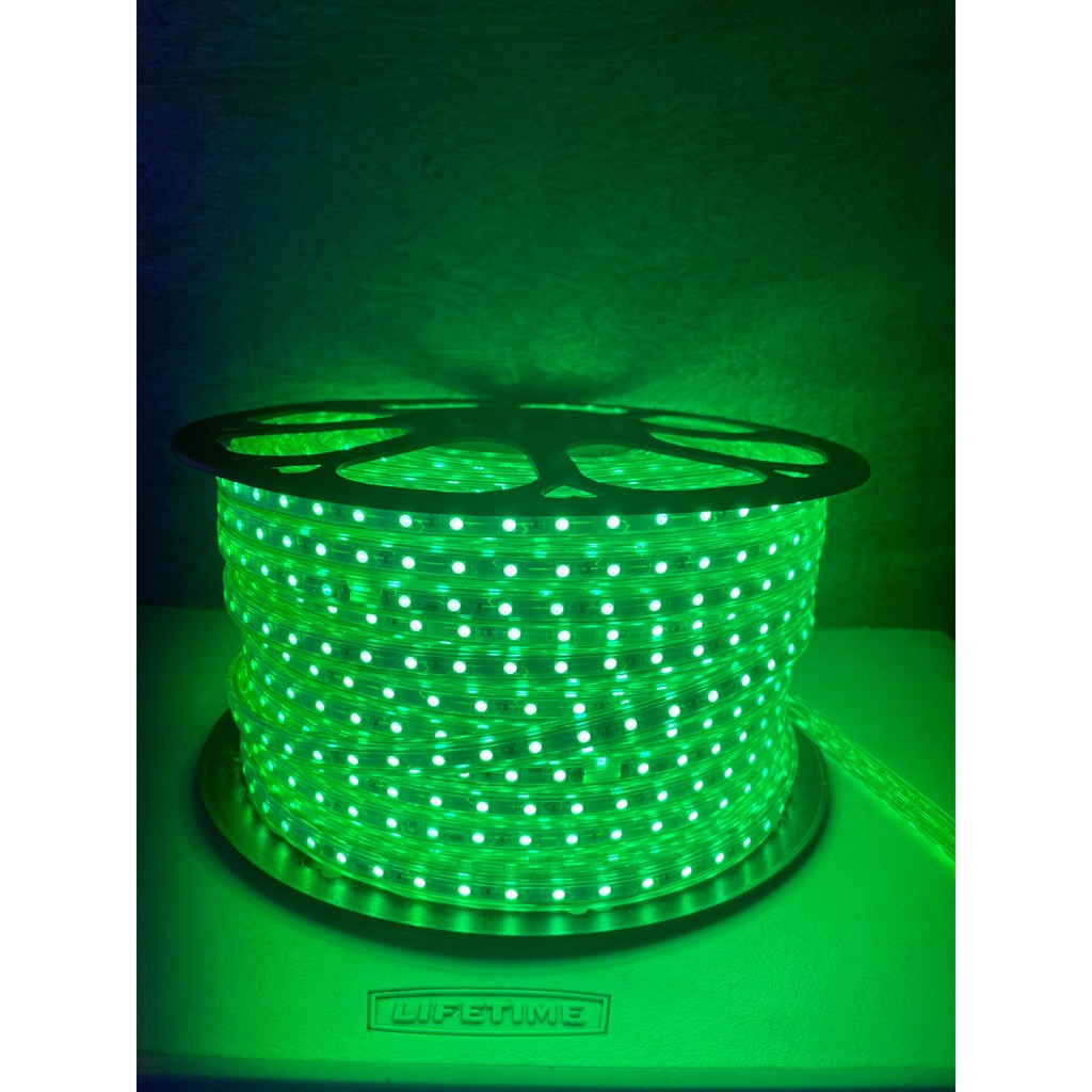 LED STRIP LIGHT GREEN 5050 WATERPROOF (+1 PLUG) | Shopee Philippines