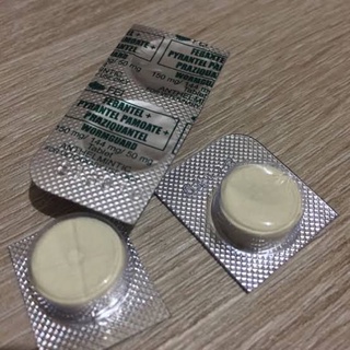 WORMGUARD SOLD PER TABLET DOG DEWORMER | Shopee Philippines