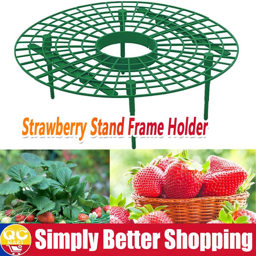 Strawberry Plant Climbing Supports Strawberry Rack Rattan Climbing ...