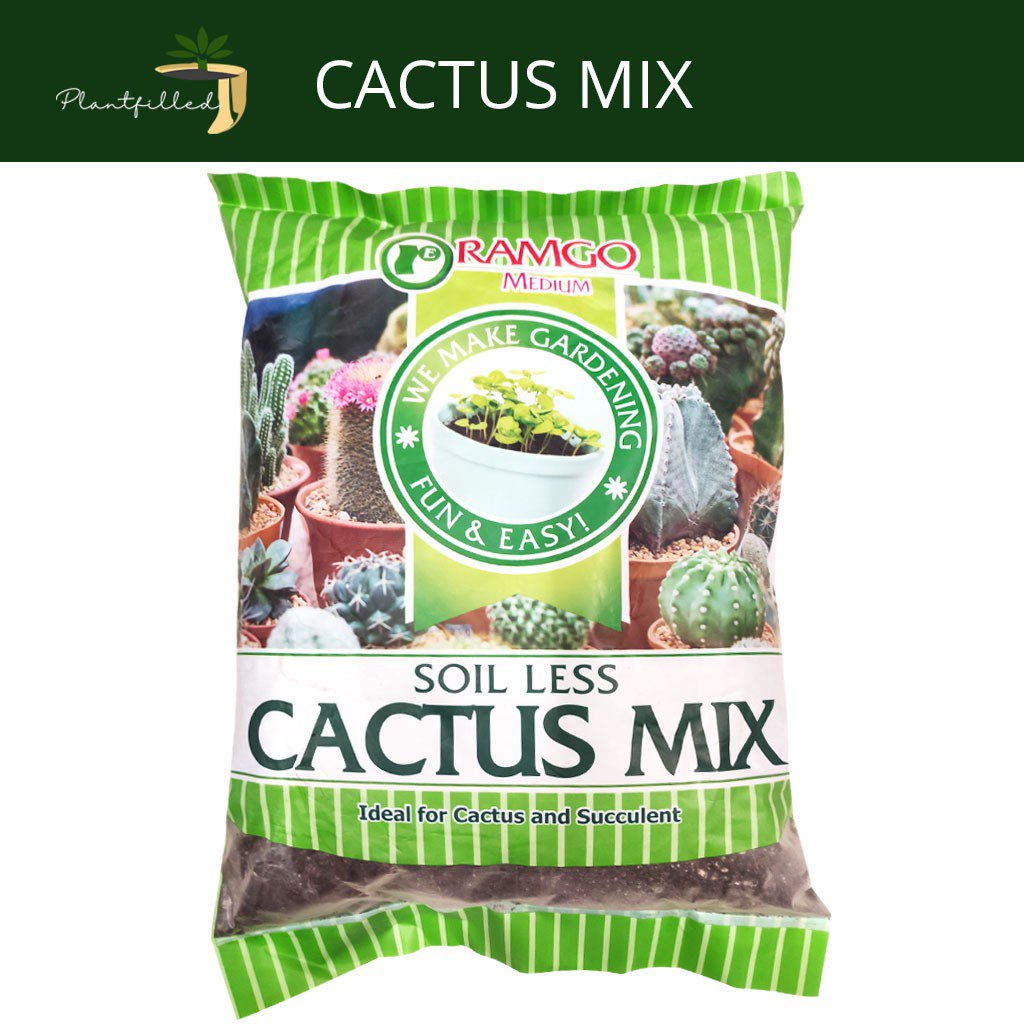 Top-Quality Seeds [Plantfilled] Ramgo Cactus Soil-less Mix for Cactus ...