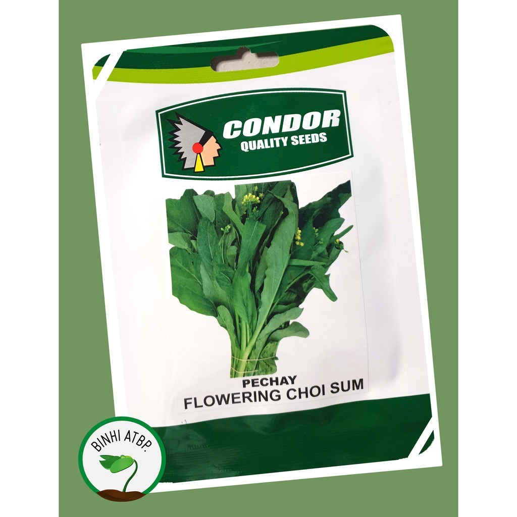 Condor Pechay Flowering Choysum (Choi Sum) Seeds (5 Gr Pack) | Shopee ...