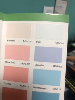 Rain or Shine Elastomeric Paint 4LT gallon | Shopee Philippines