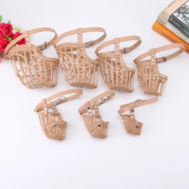 busal - Best Prices and Online Promos - Jan 2023 | Shopee Philippines