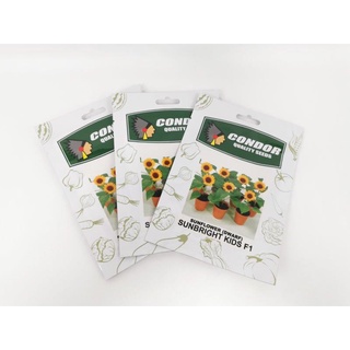 SUNFLOWER SUNBRIGHT KIDS ( DWARF ) FLOWER SEEDS BY CONDOR ( ORGINAL ...