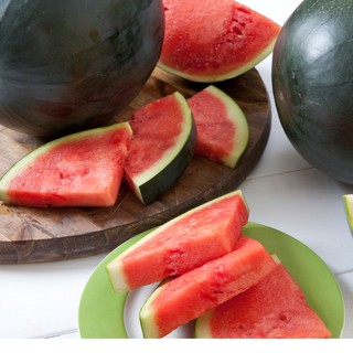 PAKWAN SEED`S "WATERMELON" (SUGAR BABY) SEEDLESS | Shopee Philippines