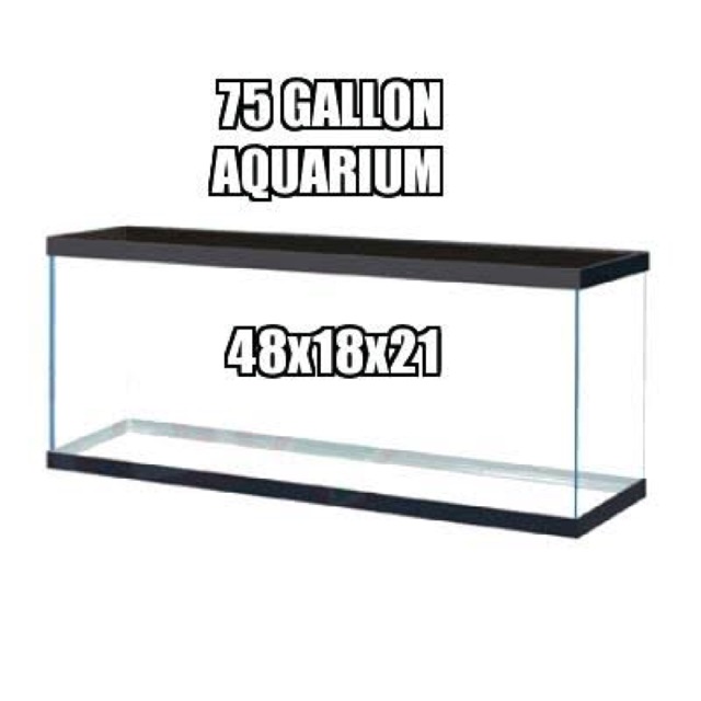 AQUARIUM DIMENSIONS: Sizes Calculations | atelier-yuwa.ciao.jp
