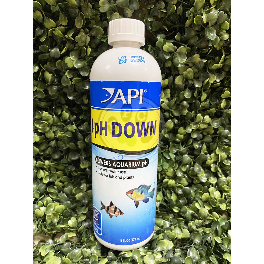 Api Ph Down Ph Adjuster for Freshwater Aquarium 473ml | Shopee Philippines