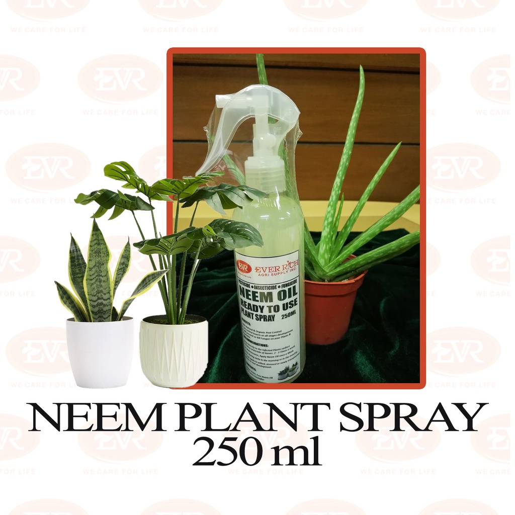 Neem Plant Spray- Ready to Use Neem Oil-------- 500ml | Shopee Philippines