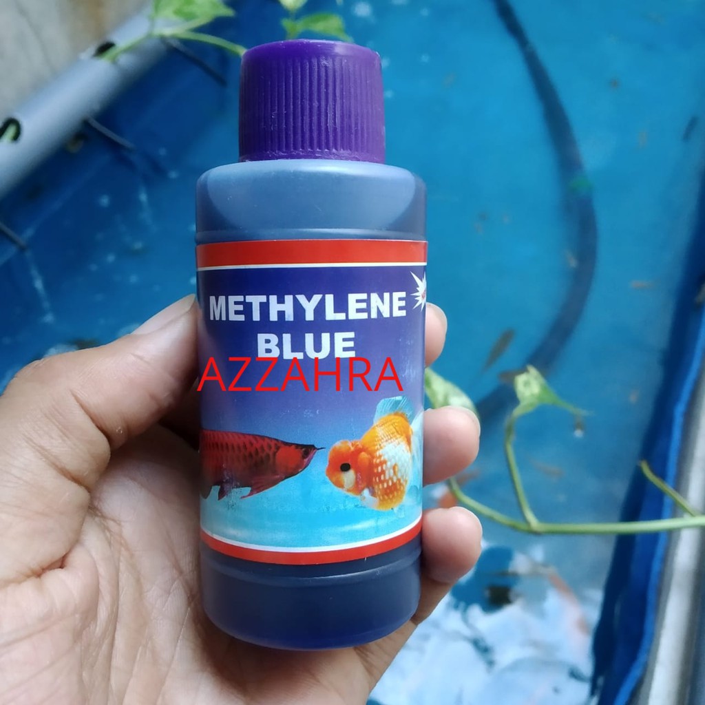 Methylene Blue - Blue Medicine - Ornamental Fish Medicine - Anti Parasite Bacteria | Shopee ...