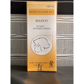 biocure - Best Prices and Online Promos - Jan 2023 | Shopee Philippines