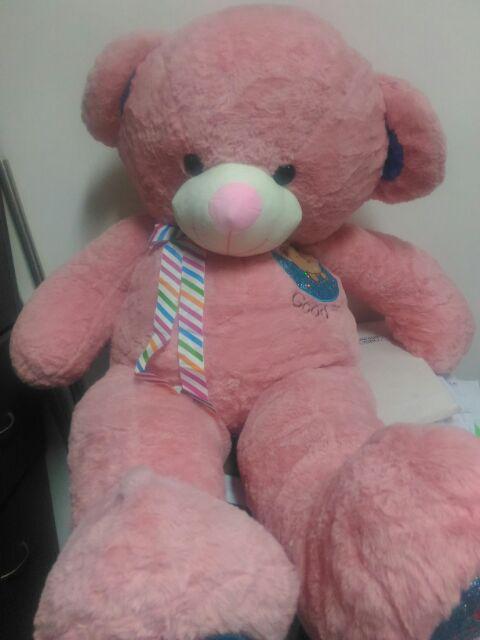 Korean Teddy Bear Almost 5ft Human Size stuffed toy gift cod | Shopee ...