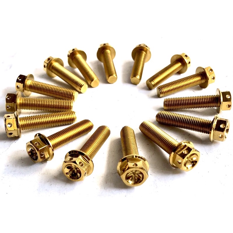 10x45 HENG BOLTS ORIGINAL THAILAND | Shopee Philippines