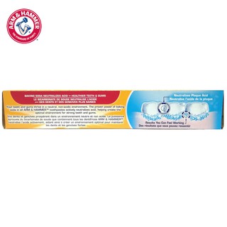 Arm and Hammer 3-in-1 Triple Power Action Toothpaste 120ml | Shopee ...