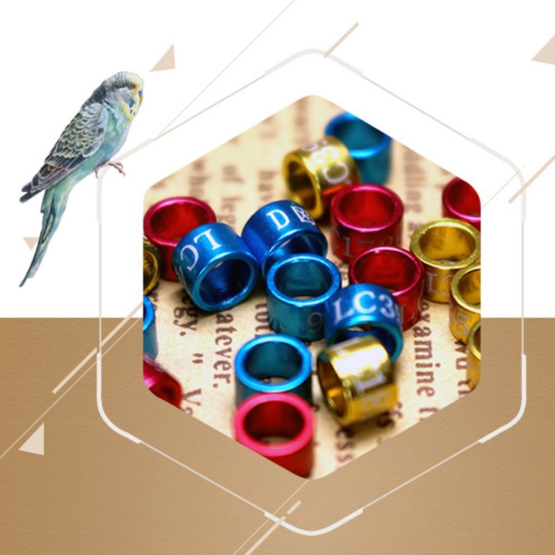 cc 50 Pcs Mix Color Bird Foot Ring Bands Clip on Leg Rings for Pigeon ...