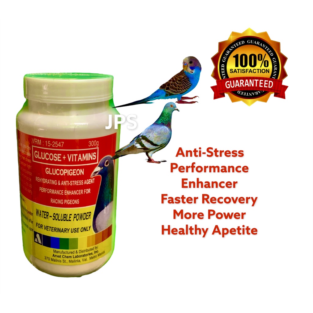 ARVET GLUCOPIGEON DEXTROSE MULTIVITAMINS PERFORMANCE ENHANCERS ANTI ...