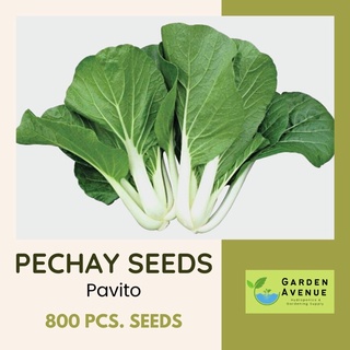 pechay - Best Prices and Online Promos - Mar 2023 | Shopee Philippines