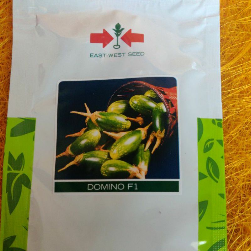 ILOKANO TYPE TALONG DOMINO F1 SACHET 900 SDS VEGETABLE SEEDS EAST-WEST ...