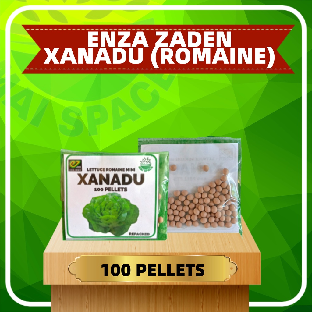 ENZA ZADEN XANADU (ROMAINE) SEEDS (REPACKED) - 100% GERMINATION RATE ...
