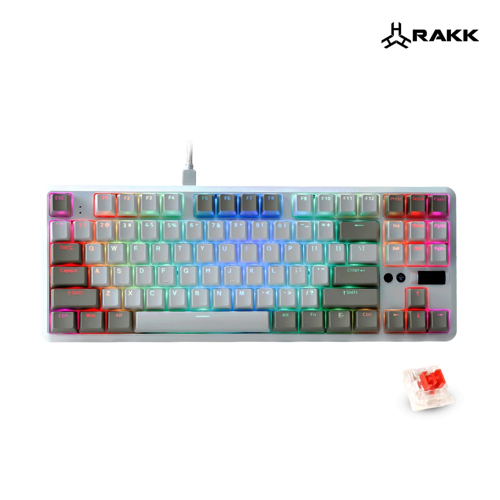 RAKK LAM-ANG LITE Mechanical Gaming Keyboard|Rgb Outemu Switch PBT ...