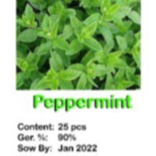 Herbs Seeds Sweet Basil Kintsay Celery Parsley Wansoy Chives Peppermint ...