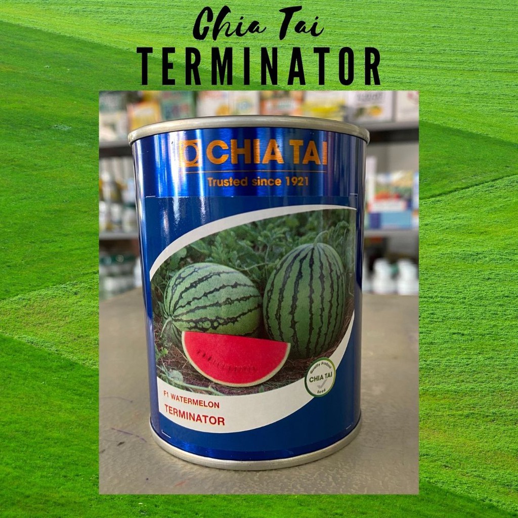 Chia Tai Watermelon Pakwan Seeds 50 g | Shopee Philippines