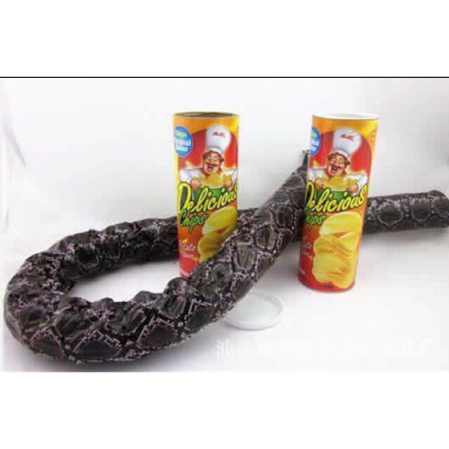 Potato Chip Snake Can Jump Spring Snake Toy April Fool Day Halloween ...