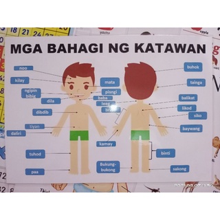 Mga Bahagi ng Katawan Learning chart tagalog Laminated | Shopee Philippines