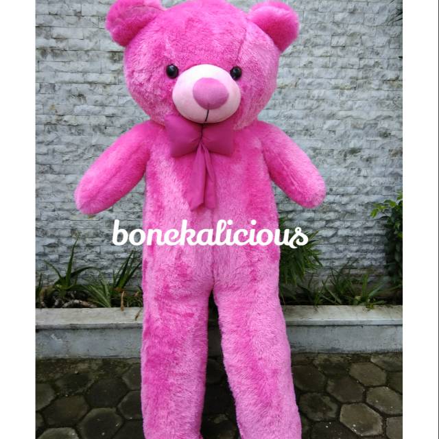 Fanta Super Jumbo Teddy Bear Doll 150cm 1.5m 1.5 Meters | Shopee ...