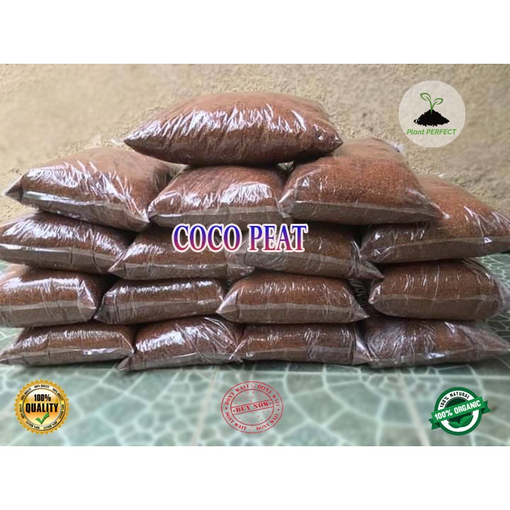 COCOPEAT/1kg Screened And Pure Coco Peat best in planting in your ...