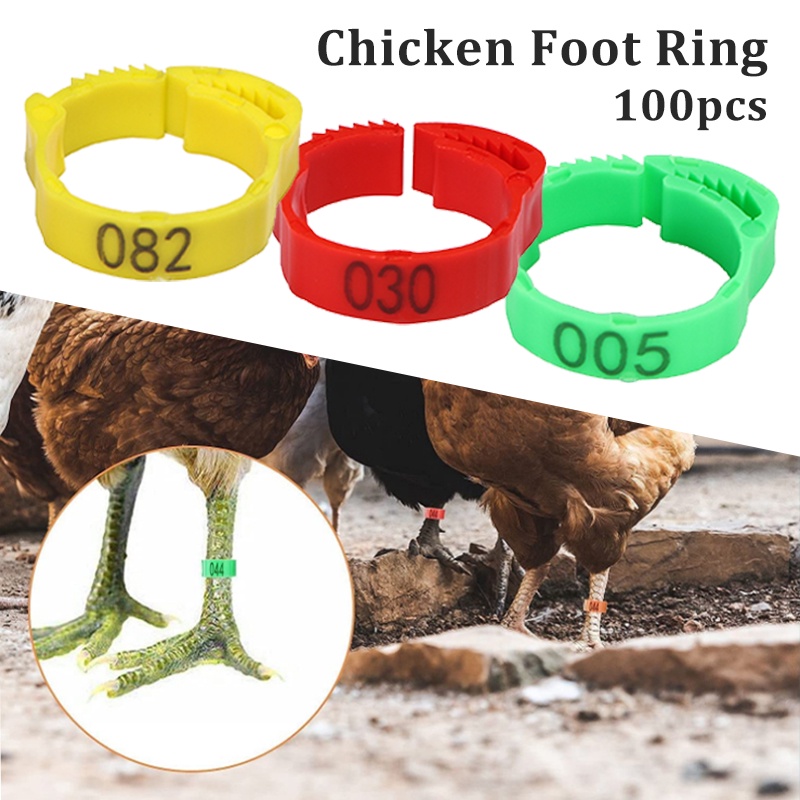 100PCS 1.8-2.6CM Chicken Leg Rings Adjustable Chicken Identification ...