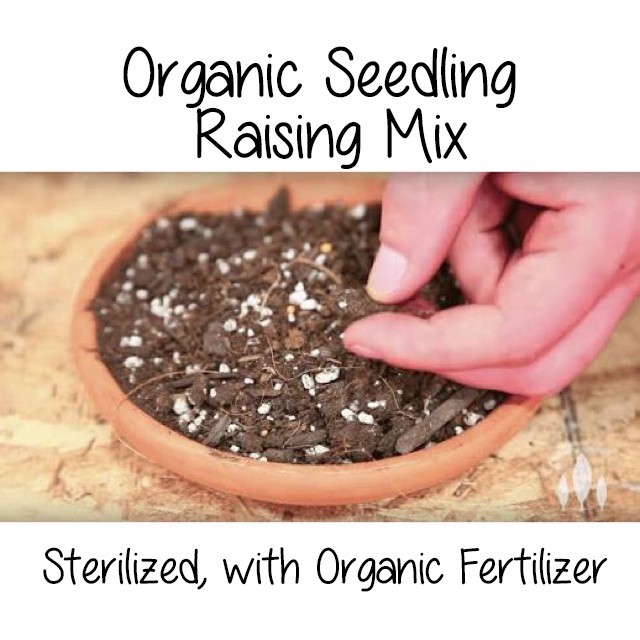 Organic Soil less potting mix seedling plants sterilized | Shopee ...