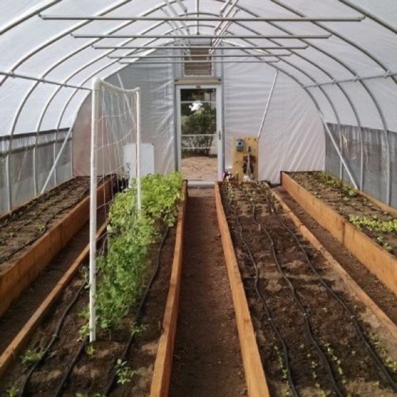 UV Sheet Greenhouse Shade - 5meters x 9ft (LxW) | Shopee Philippines