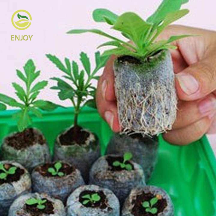 20Pcs Seedlings Nutrient Block Compression Compress Peat Blocks Magic ...