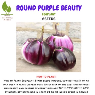 TALONG SEEDS VARIETIES - TALONG HABA PURPLE ROUND TISOY | Shopee ...
