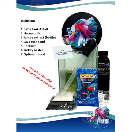 Betta tank with FREEBIE (Newbie Package) | Shopee Philippines