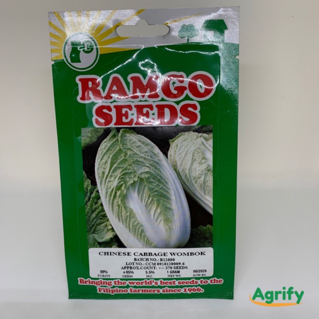 Chinese Cabbage Wombok Seeds Repolyo 300 Seeds Binhi | Shopee Philippines