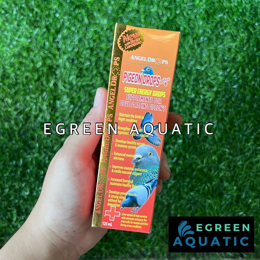 Angel Pigeon Drops Plus 125mL - Super Energy Supplements for Dove ...