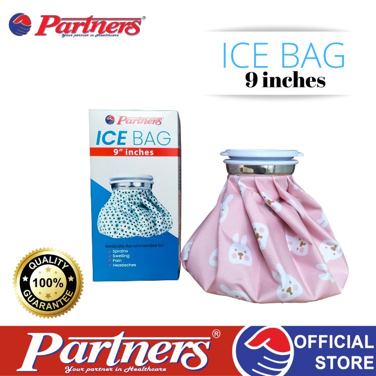 PARTNERS ICE BAG 9 inches (Random Design) | Shopee Philippines