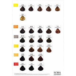 Sora Hair Color Dye 100ml | Shopee Philippines