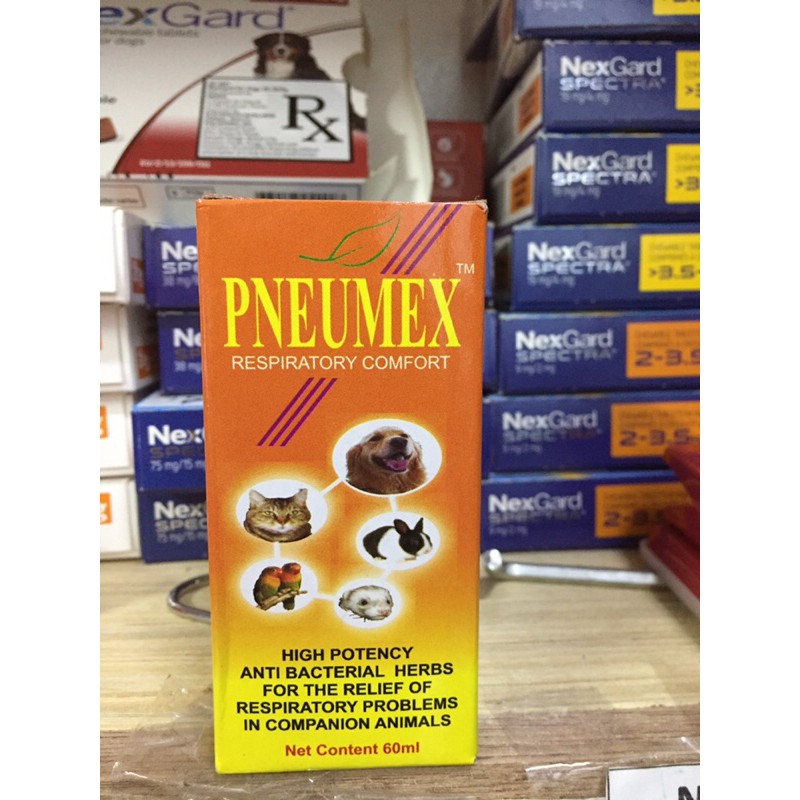 Pneumex Respiratory comfort 60ml | Shopee Philippines
