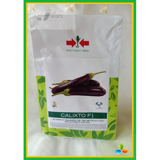 East West Eggplant Calixto F1 pack ( 875 seeds) | Shopee Philippines