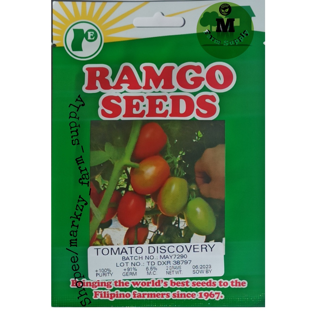 Ramgo Seeds Tomato Discovery Original and High Quality | Shopee Philippines