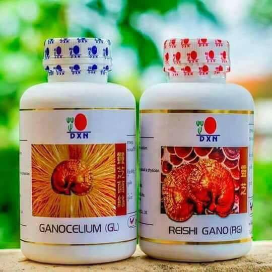 DXN Reishi Gano (RG) and Ganocelium (GL) Capsule | Shopee Philippines