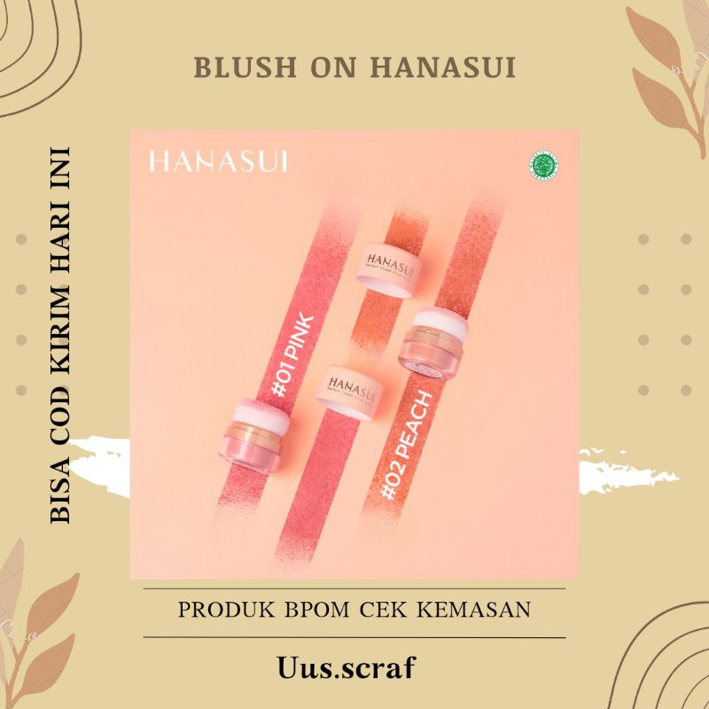 Hanasui Perfect Cheek Blush & Go 2.5g | Shopee Philippines
