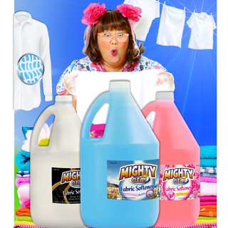 Mighty Clean Fabcon Blue Bliss - FS Blue 1 GALLON | Shopee Philippines