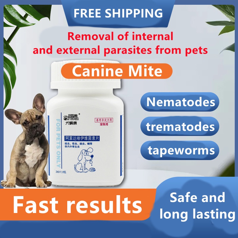 Ainata Dog Mites Health Pets Skin Disease Scabies Worm-Shaped ...