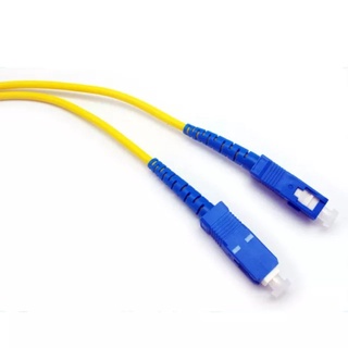 Fiber Optic Patch Cord/Cable PLDT Compatible SC-UPC to UPC Blue ...