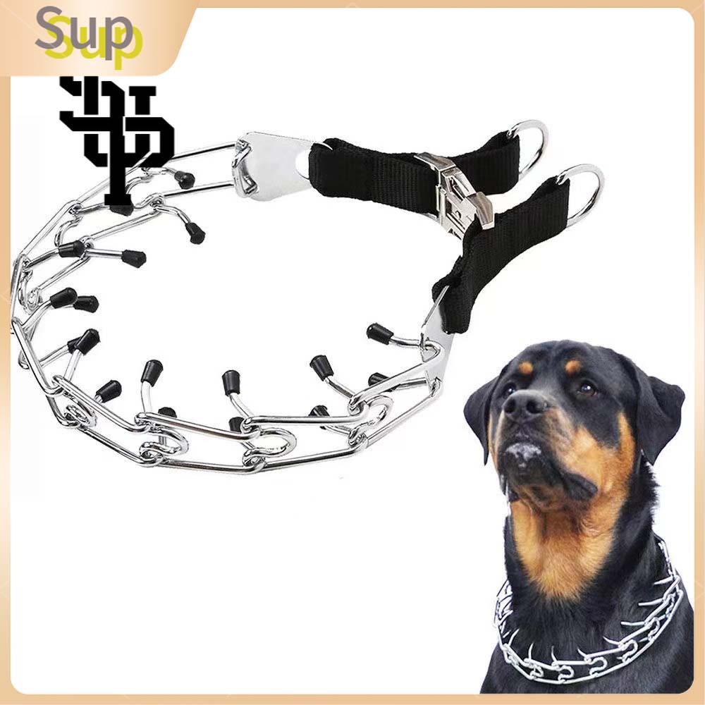 What Is A Pinch Collar For A Dog