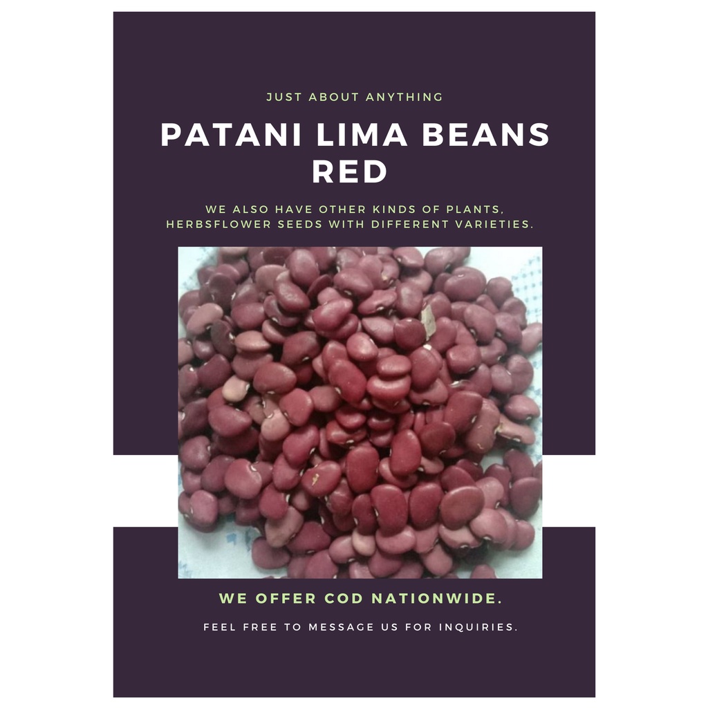 Patani Lima Beans Red Seeds for Planting (4 seeds) | Shopee Philippines
